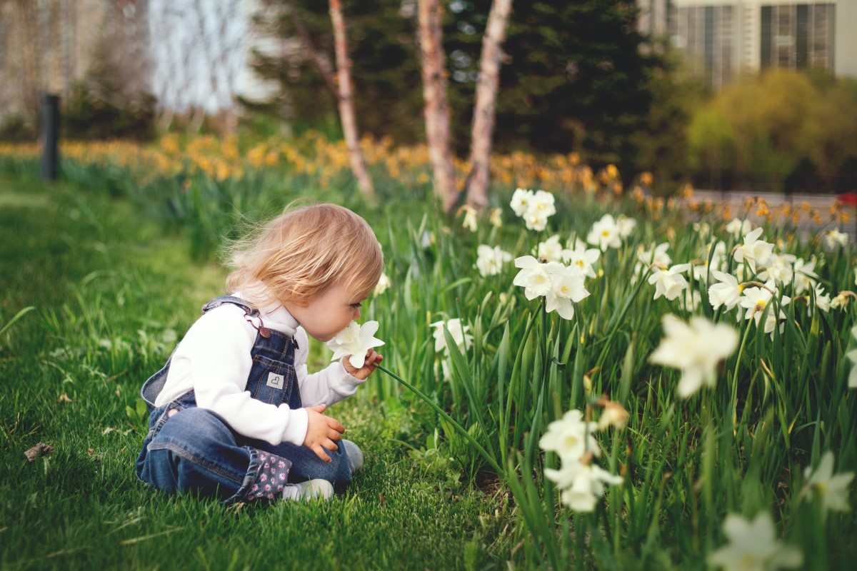 Ways You Can Introduce Plants and Animals to Your Child - iON Future